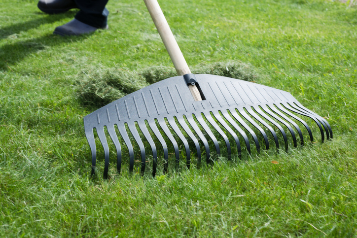 Lawn moss rake store