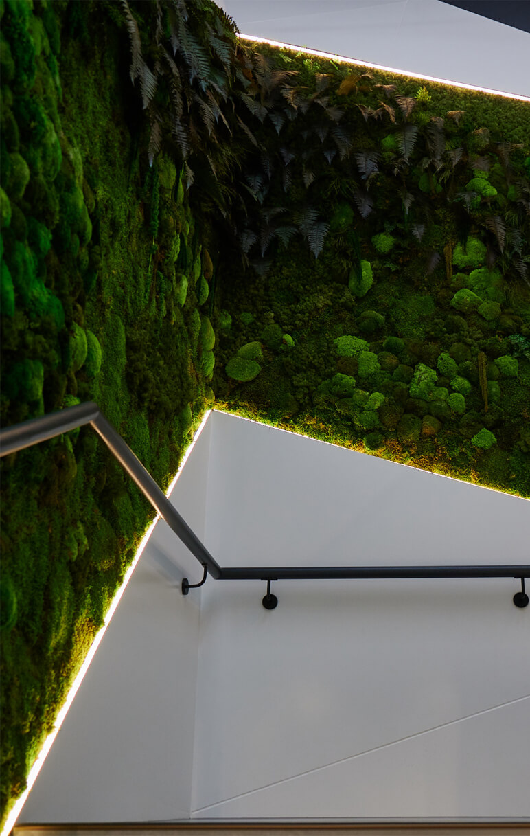 Services | Commercial Greenery Rental & Plant Hire | Outside In