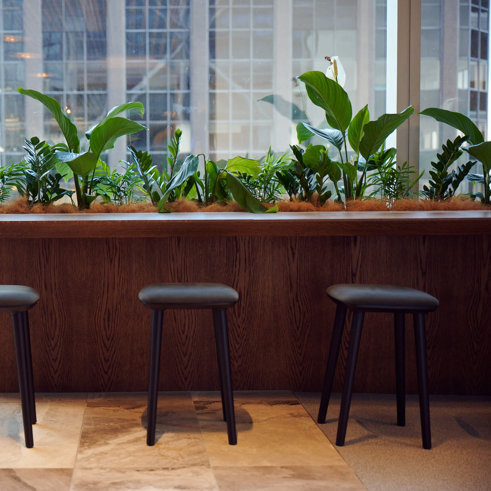 Outside In New Zealand | Custom Designed Commercial Greenery