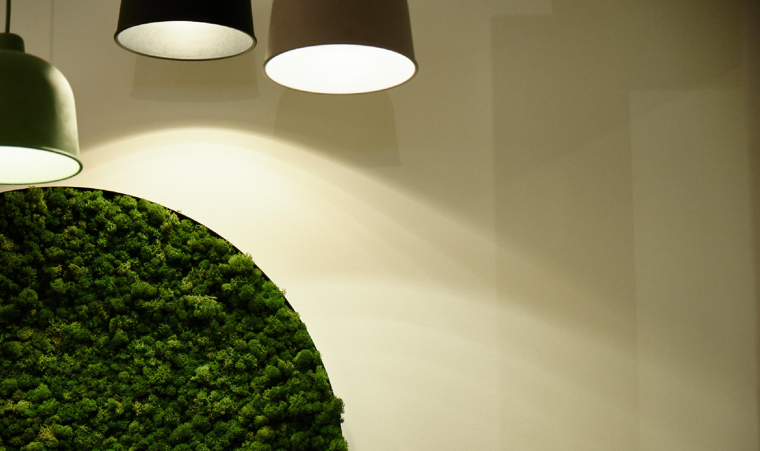 Outside In New Zealand | Custom Designed Commercial Greenery