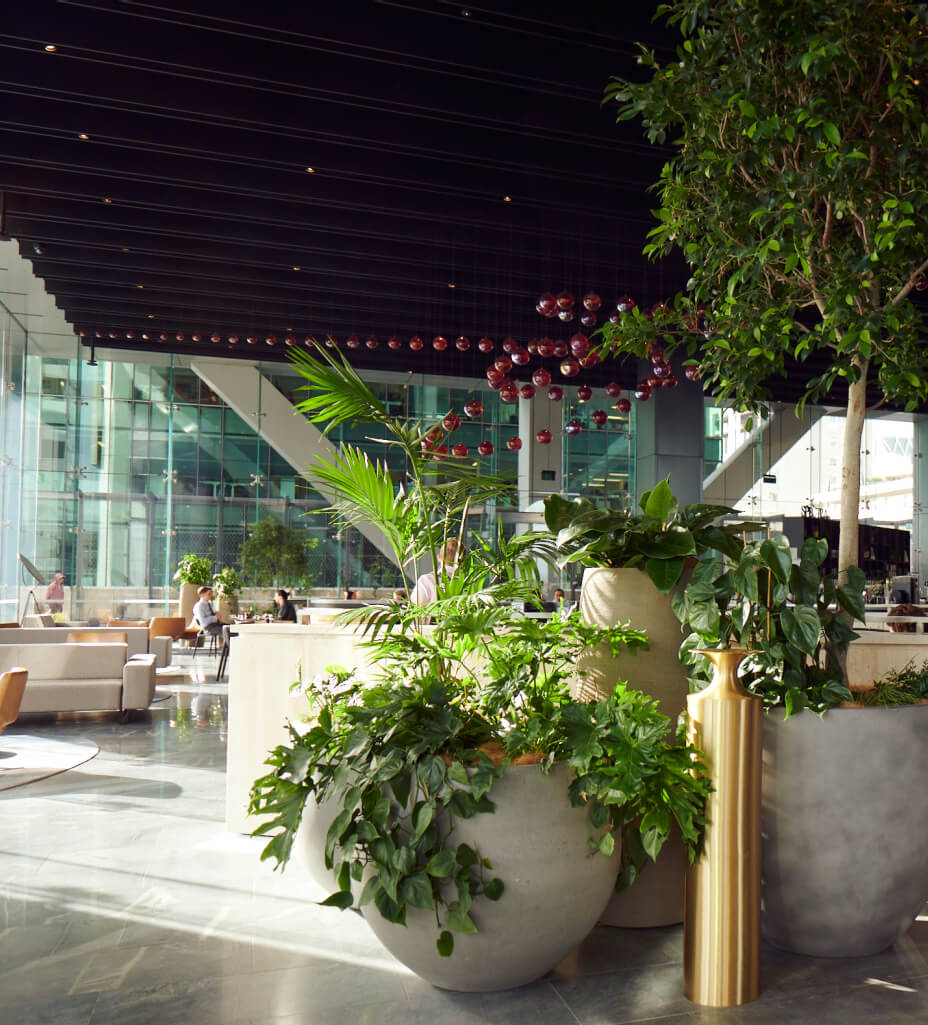 Products | Green Wall, Moss Wall & Plant Racks | Outside In