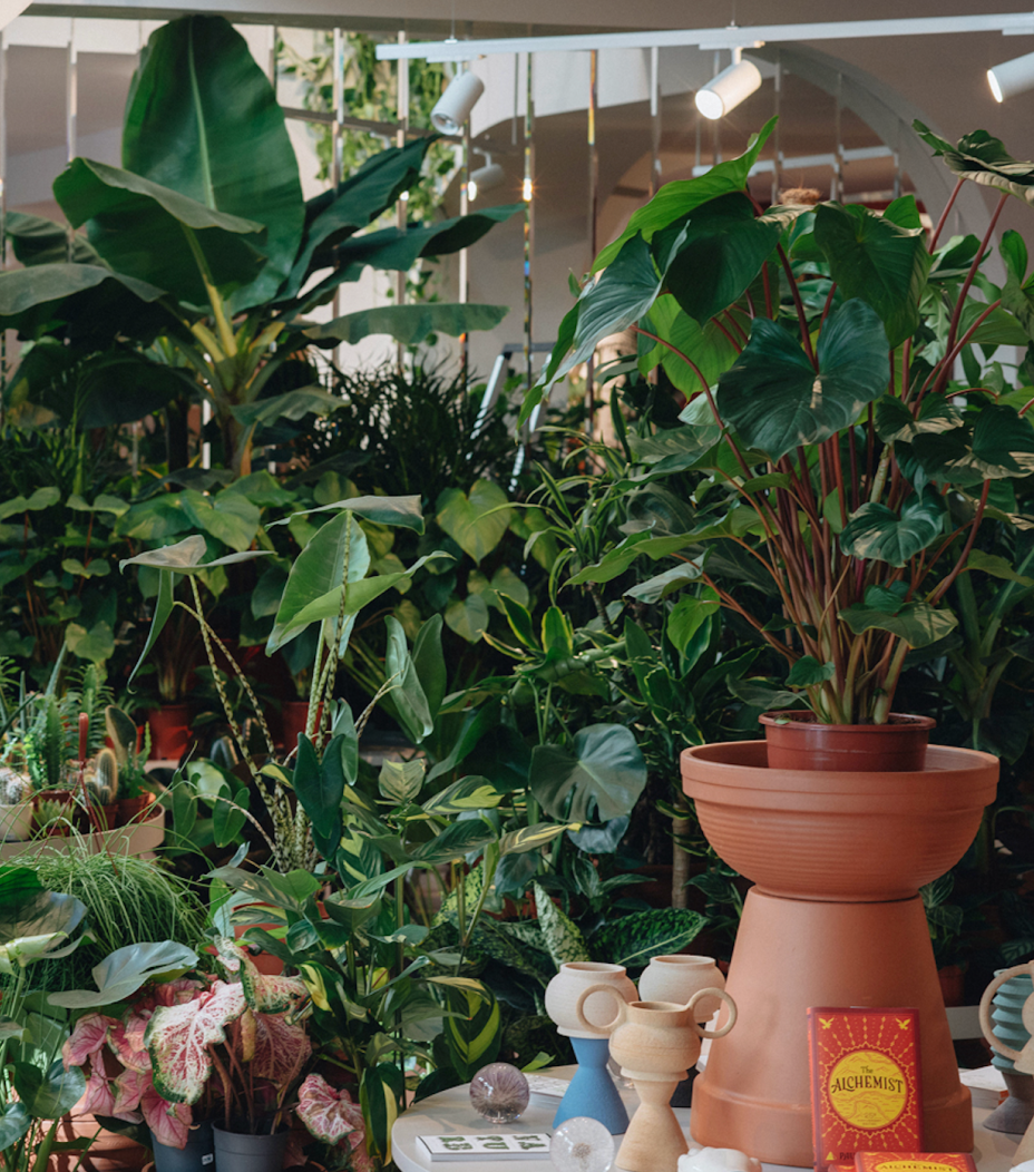 Products | Green Wall, Moss Wall & Plant Racks | Outside In