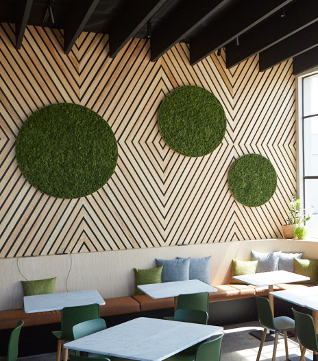 Products | Green Wall, Moss Wall & Plant Racks | Outside In