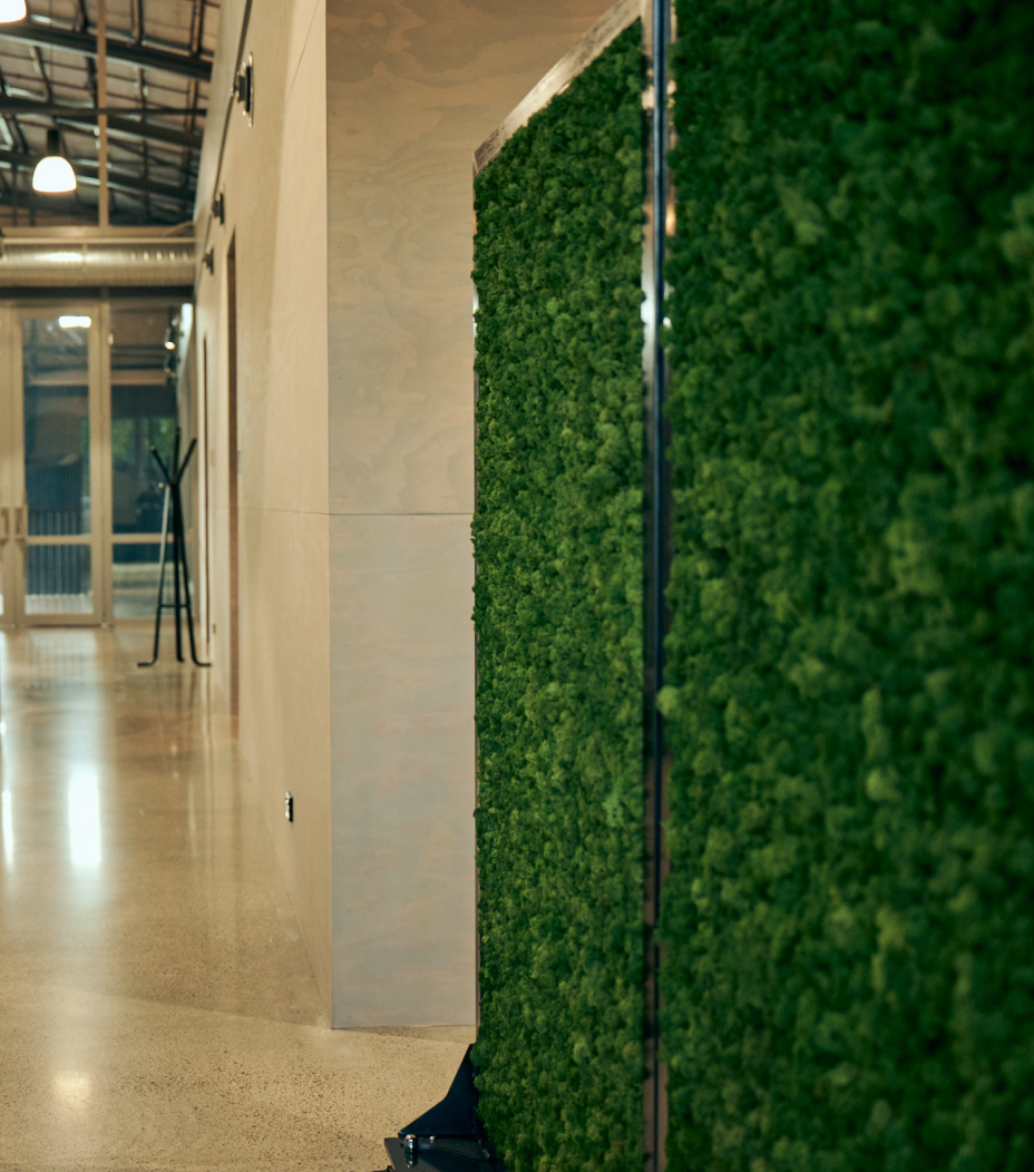 Products | Green Wall, Moss Wall & Plant Racks | Outside In