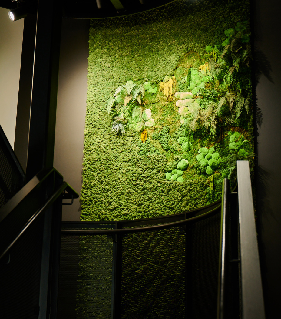 Products | Green Wall, Moss Wall & Plant Racks | Outside In