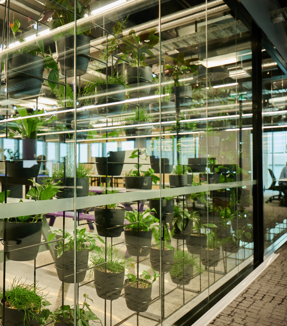 Products | Green Wall, Moss Wall & Plant Racks | Outside In