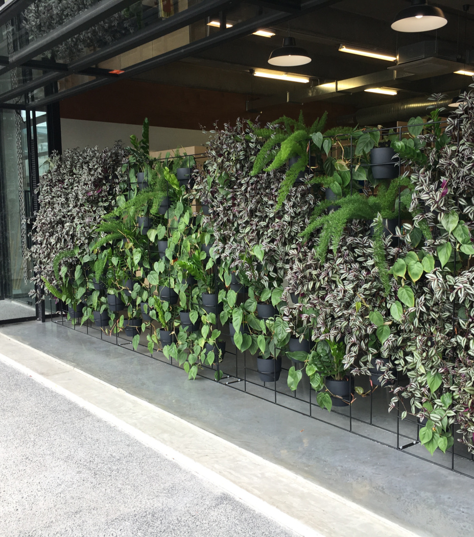 Products | Green Wall, Moss Wall & Plant Racks | Outside In