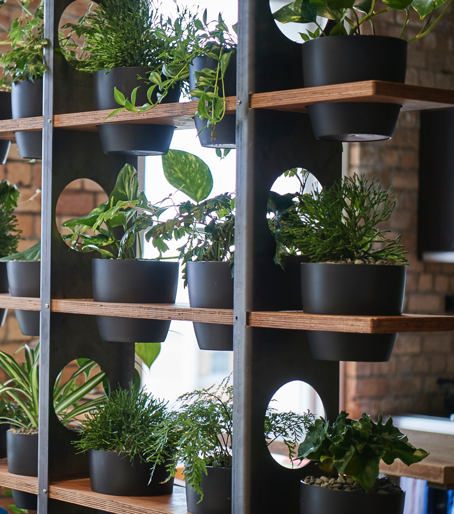 Products | Green Wall, Moss Wall & Plant Racks | Outside In