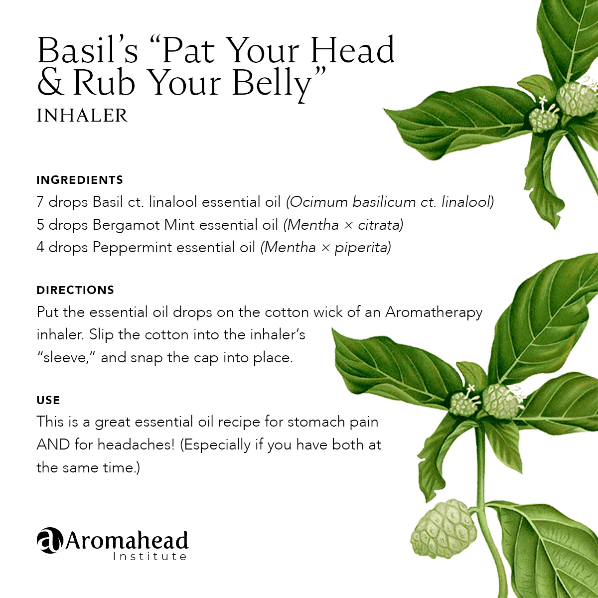 My Favorite Essential Oil Recipes for Stomach Pain