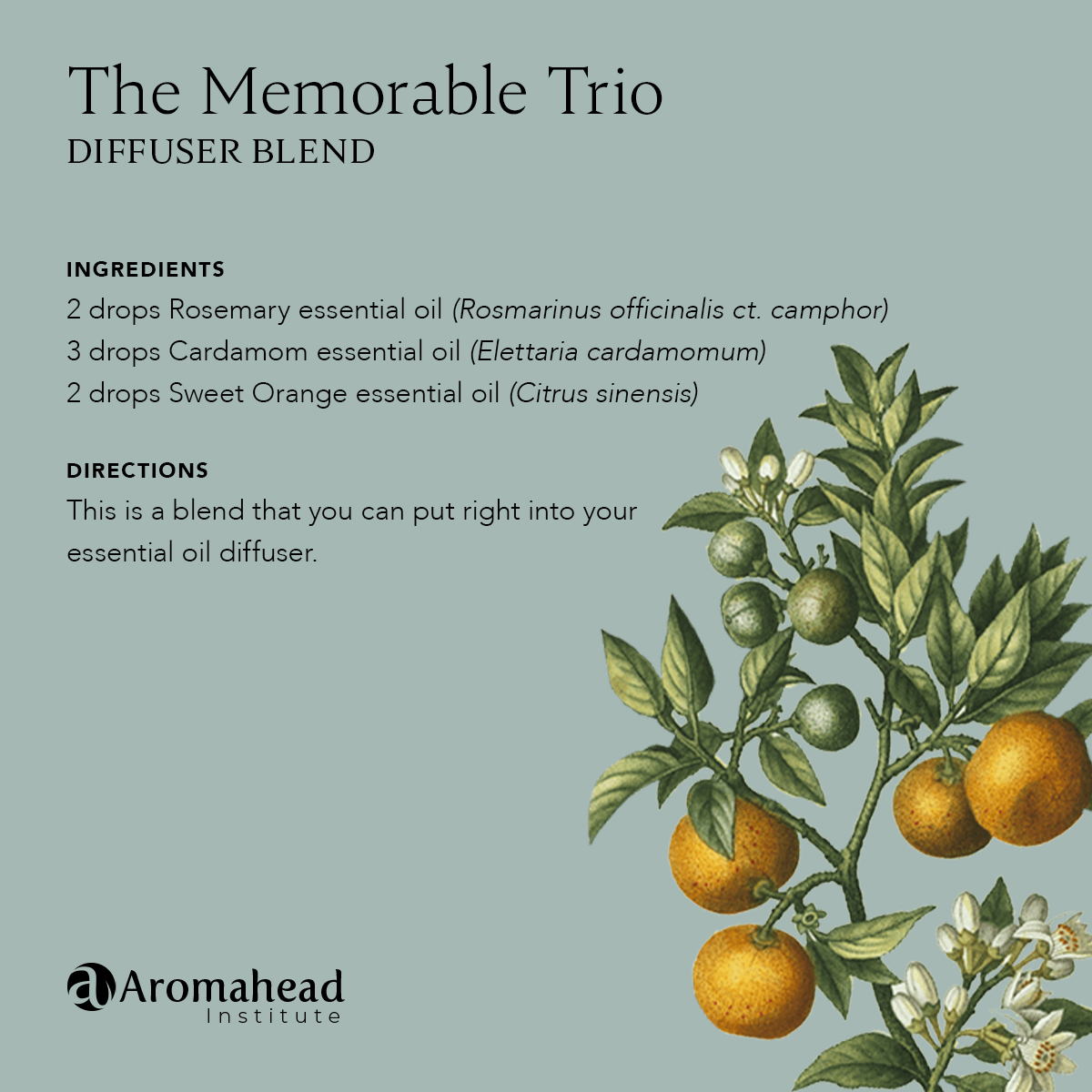 3 Recipes to Use 3 Essential Oils for Memory