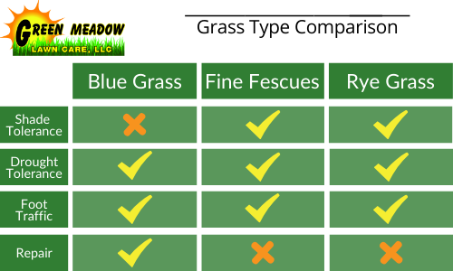 Germination Chart For Weeds Germination Process Seed To Plant Timeline