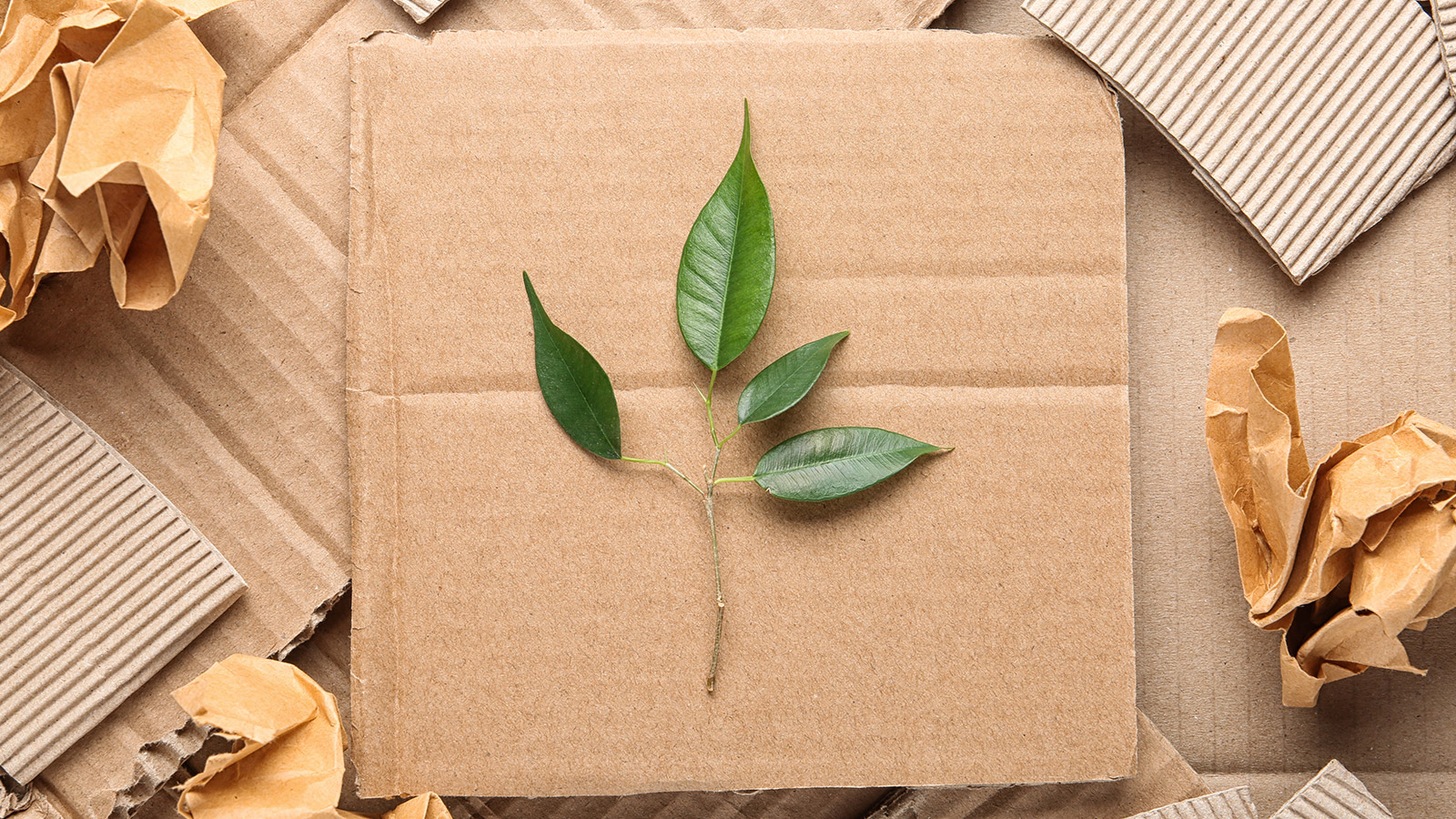 Sustainable packaging materials store
