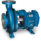 Summit 2196 ANSI Pumps