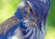 Using Twitter to drive your b2b ecommerce business – part 1